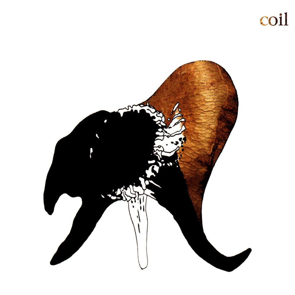 CD - Coil - Black Antlers – Encore Records Ltd
